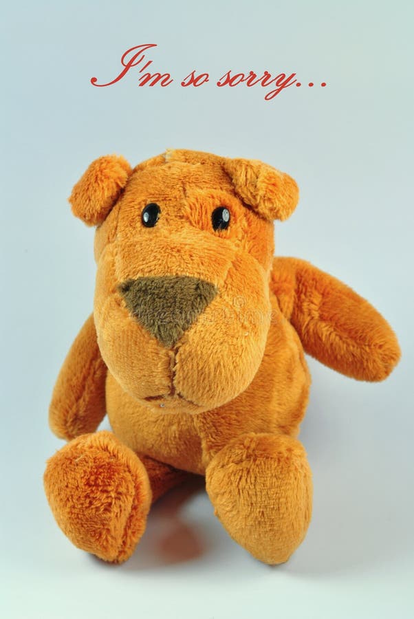 I m so Sorry stock photo. Image of cute, eyes, lonely - 18450468