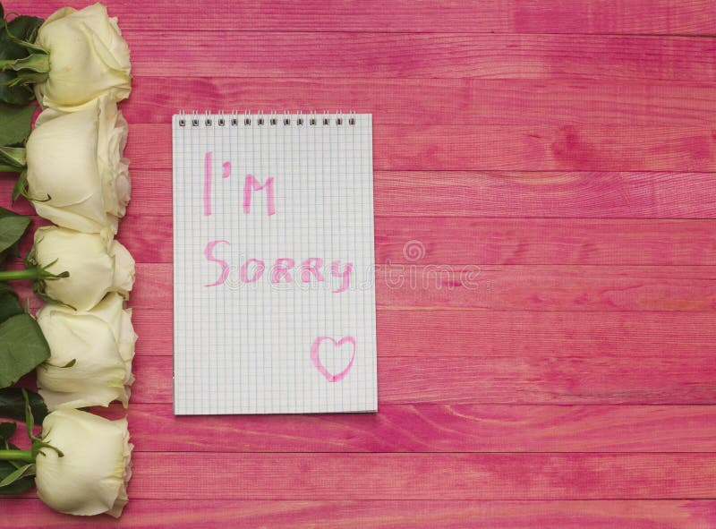 I`m sorry concept stock photo. Image of floral, flower - 88108096