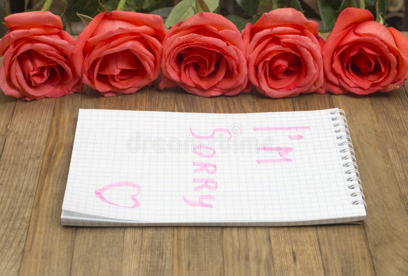 I`m sorry concept stock image. Image of bunch, love, romance - 88245461