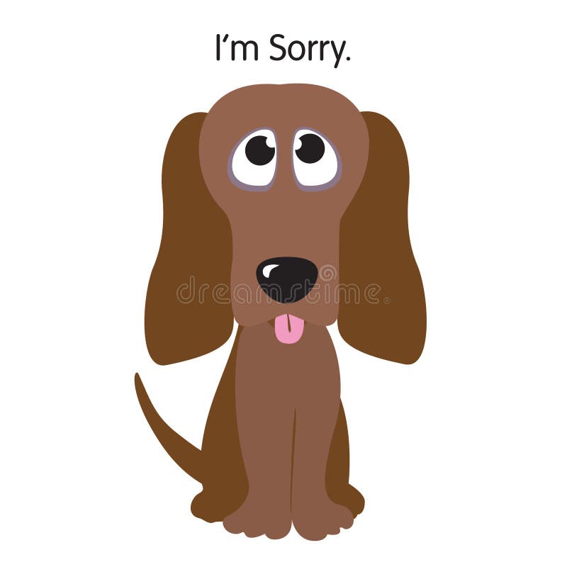 Im Sorry Dog Face