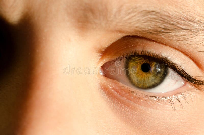 I m watching you. stock image. Image of marco, eyes, face - 23830465