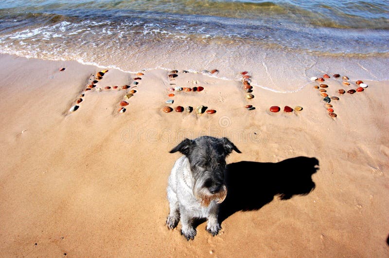 Word HELP on beach sand stock photo. Image of love, shapes - 1286620
