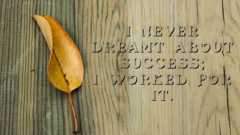 I Never Dreamt about Success. I Worked for it Stock Photo - Image of ...
