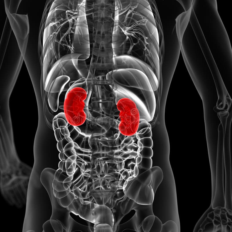 I reni illustrazione di stock. Illustrazione di scuro - 45381674