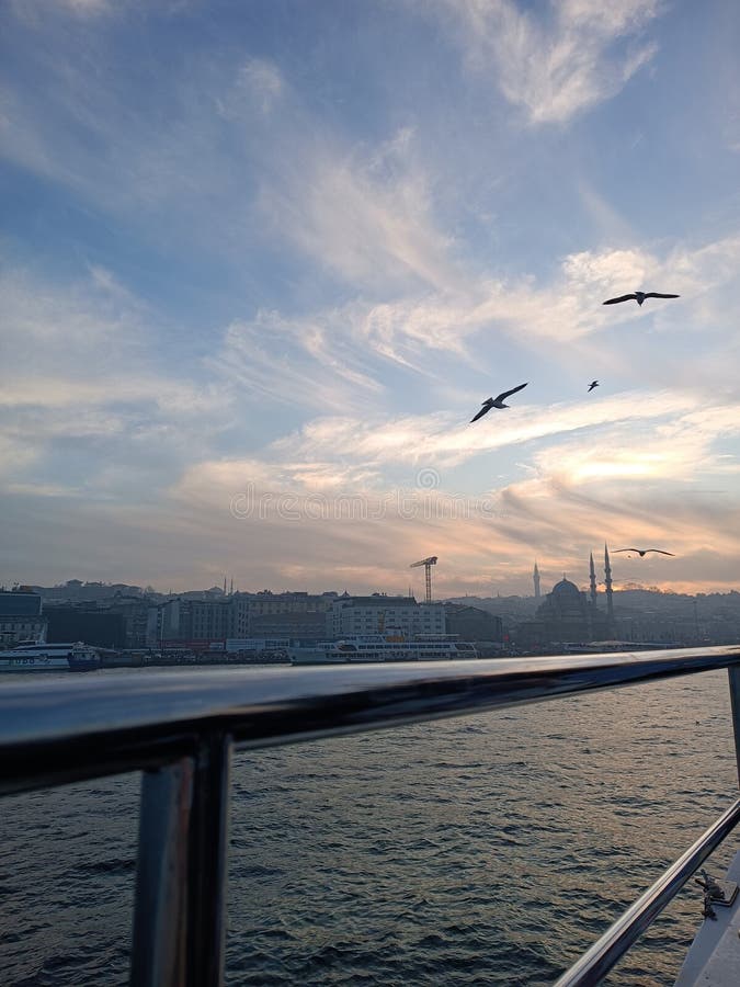 When I See the Sea I Feel Indescribable Happiness Stock Image - Image of feel, indescribable ...