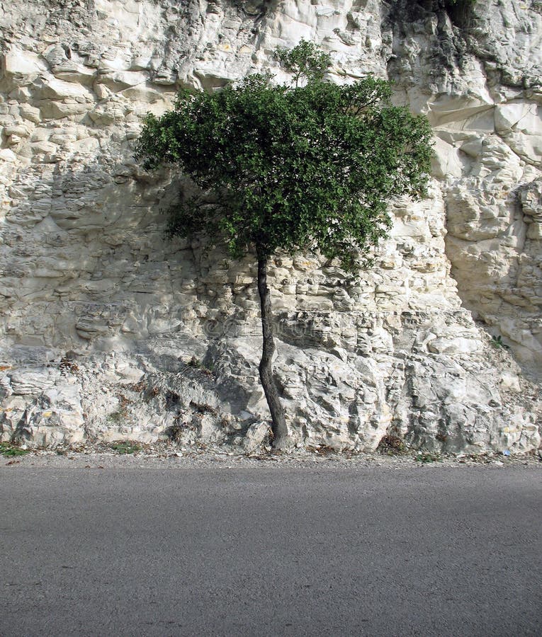 I Survived stock image. Image of affirmative, delicate - 11885777