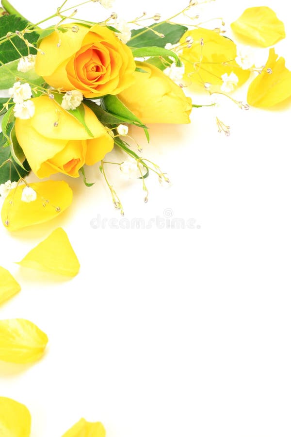 Yellow Rose Border