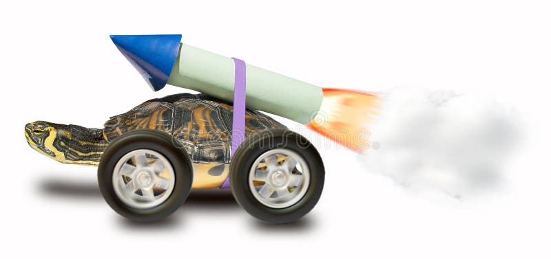 Turtle Rocket Stock Photos - Free & Royalty-Free Stock Photos from ...