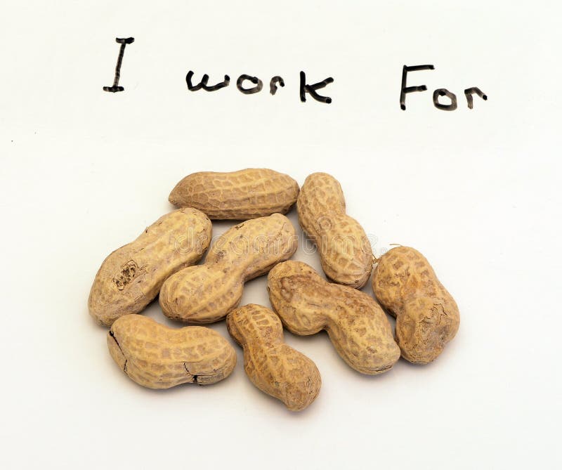 I work for Peanuts stock image. Image of labor, peanuts - 469317