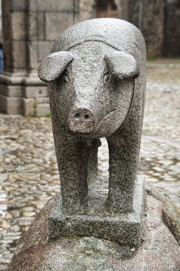 Iberisch varken stock afbeelding. Image of leet, spanje - 33253721