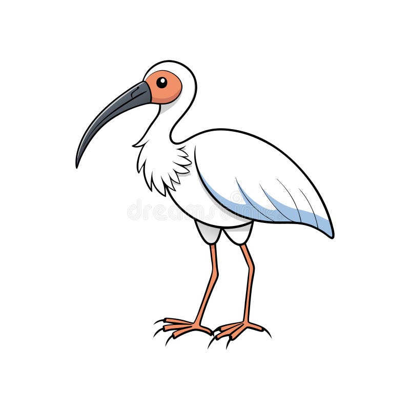 Ibis Coloring Page for Kids Stock Illustration - Illustration of drawn ...