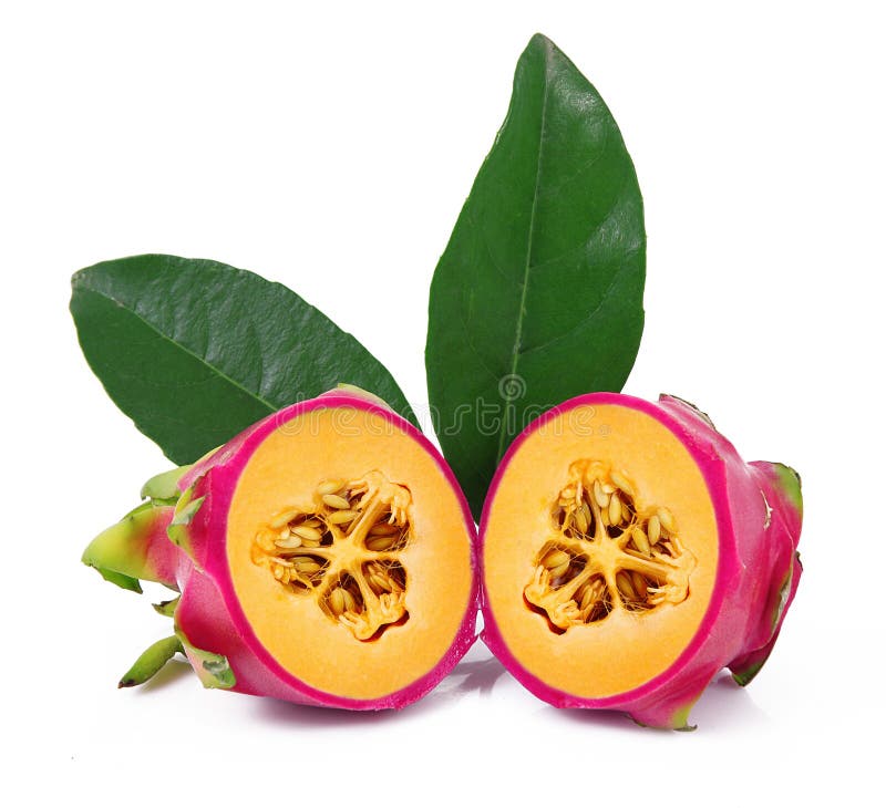 Ibrid Fruit Dragon Fruit-melon Stock Image - Image of fresh, fruit ...