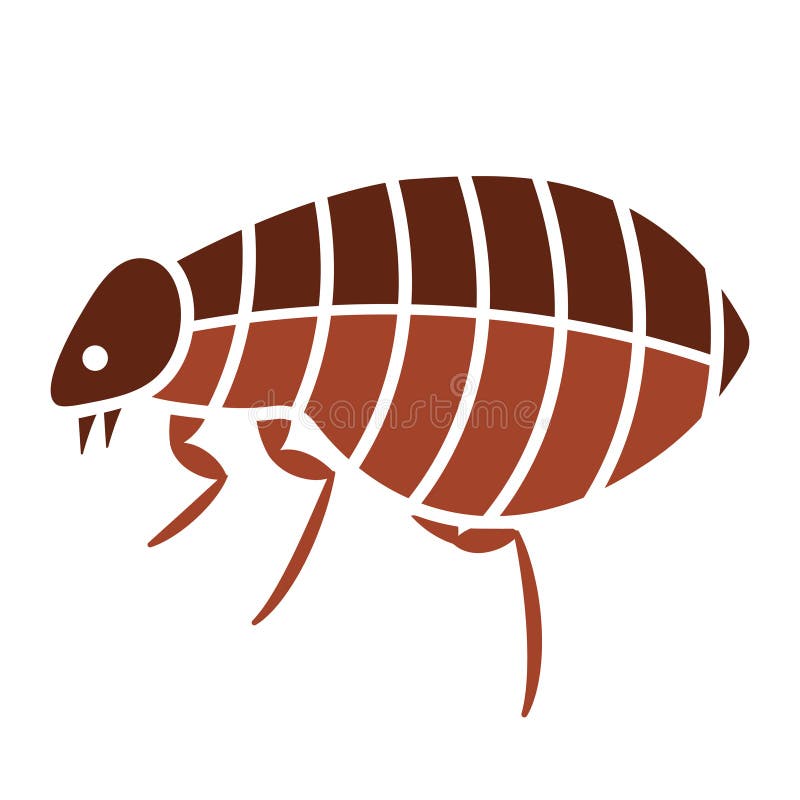 Cycle de vie de puce illustration de vecteur. Illustration du médical ...