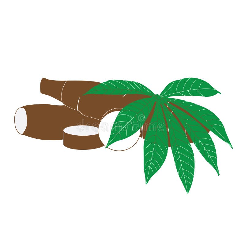 Icône de manioc illustration de vecteur. Illustration du botanique ...