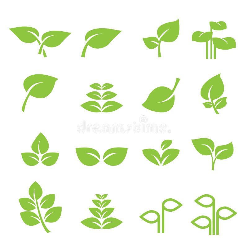 Icône de feuille illustration de vecteur. Illustration du lame - 49366592