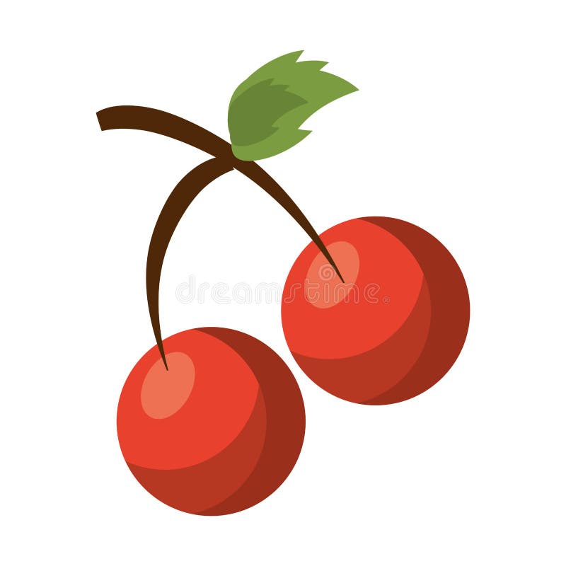 Contour de fruit de merise illustration de vecteur. Illustration du ...