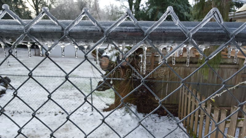 Ice stock photo. Image of portland, frozen, cold - 67013450