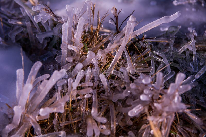 Ice Art Frosen Gras Stock Photos - Free & Royalty-Free Stock Photos ...