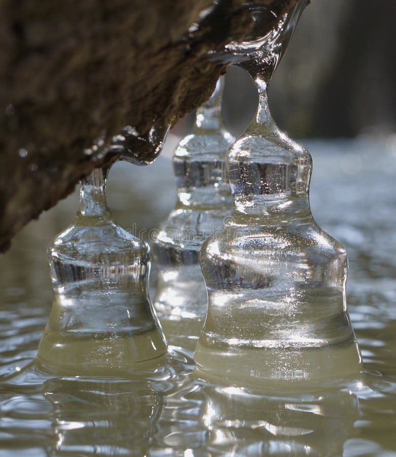 Ice Bells Icicle Formation stock photo. Image of frozen - 28384146