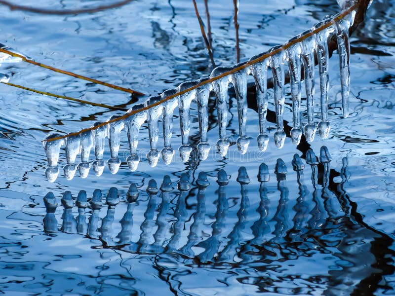 Ice Bells Icicle Formation stock photo. Image of frozen - 28384146