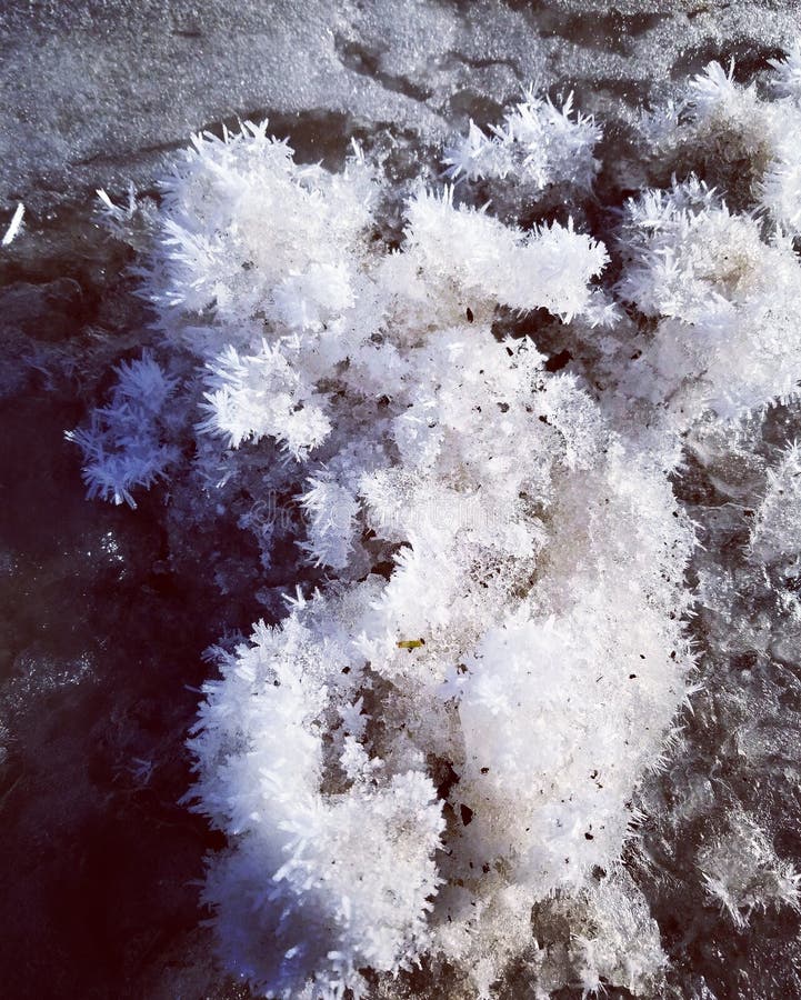 Aleah Olson (Aleaholson) - Contributor Profile on Dreamstime