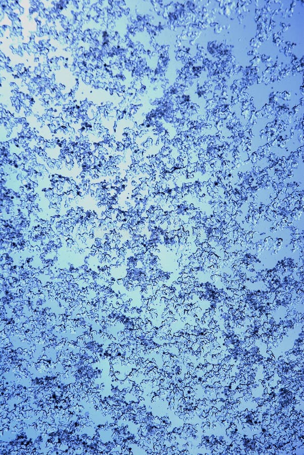 Ice on blue window stock image. Image of crystalline, background - 1131487