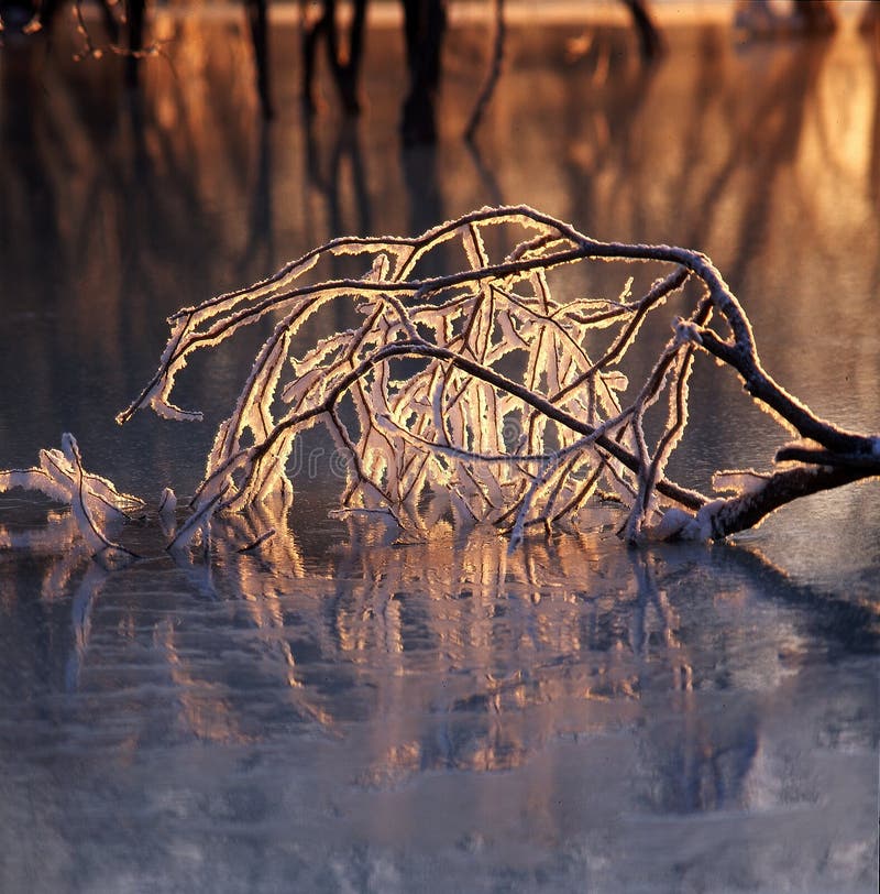 Frozen river stock image. Image of degrees, cold, banks - 38496793