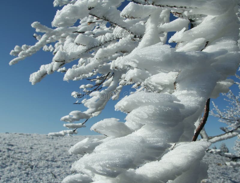 Ice branch stock image. Image of outdoor, december, scenics - 54176301