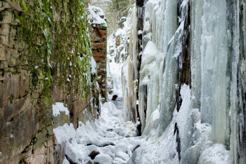Ice Cliffs stock photo. Image of water, freezing, tree - 96344256