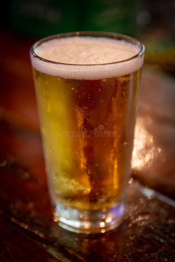 Ice Cold Beer stock image. Image of pint, lager, drink - 289676477