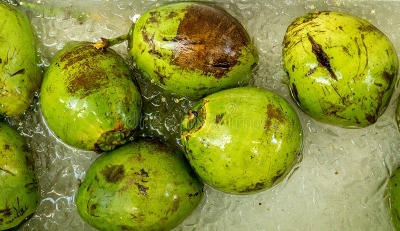 Ice Cold Coconuts at Farmer`s Market in Hawaii Stock Photo - Image of ...