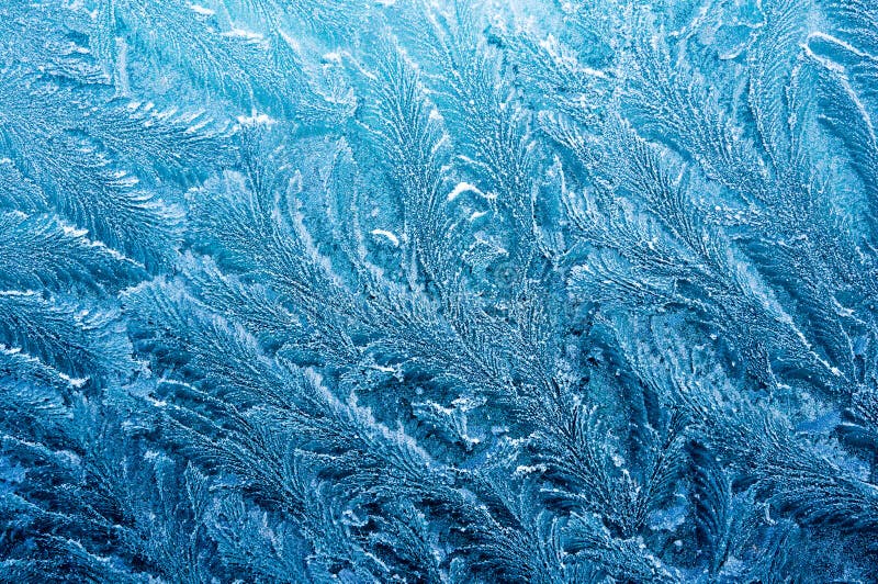 The Ice-cold Frost Forms Ice Crystals in Beautiful Unique Patterns ...