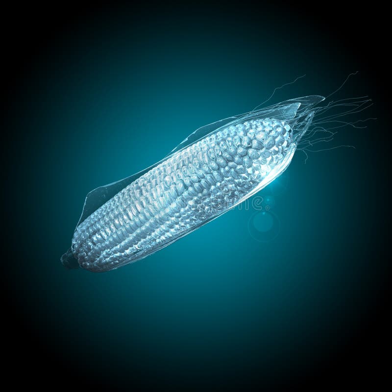 Ice Corn Isolated on Black Background Stock Photo - Image of object ...