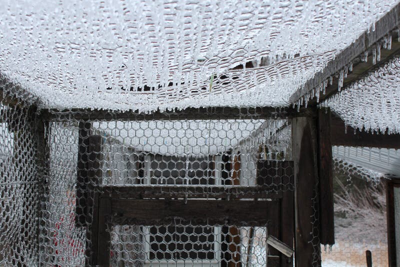 Ice covered chicken wire stock image. Image of covered - 67235755