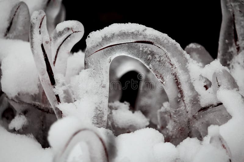 Ice Covered Grass Curved Over Snow Ground Frozen Thick Layer Ice ...