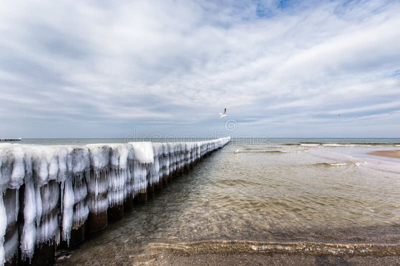 Ice covered groynes stock image. Image of seaside, mecklenburg - 308483535