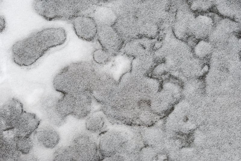 Ice Covered with a Thin Layer of Snow Stock Photo - Image of clean ...