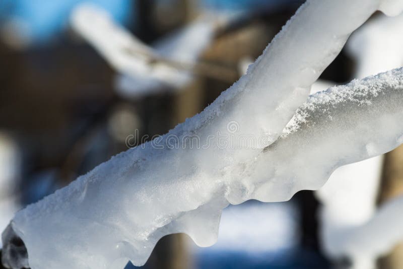 Ice covered tree branches stock image. Image of bush - 87674071
