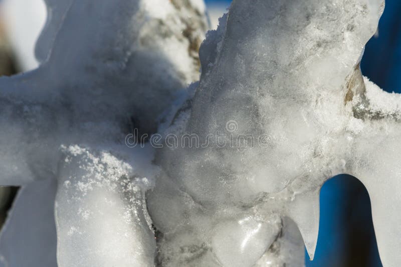 Ice covered tree branches stock photo. Image of park - 87674072