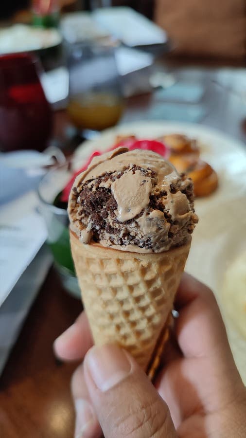 Ice cream coklat stock image. Image of chocolate, plant - 221740623