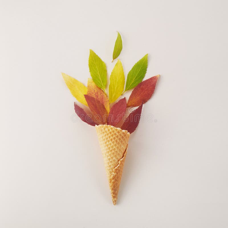 Ice Cream Cone with Autumn Leaves. Flat Lay. Stock Image - Image of ...