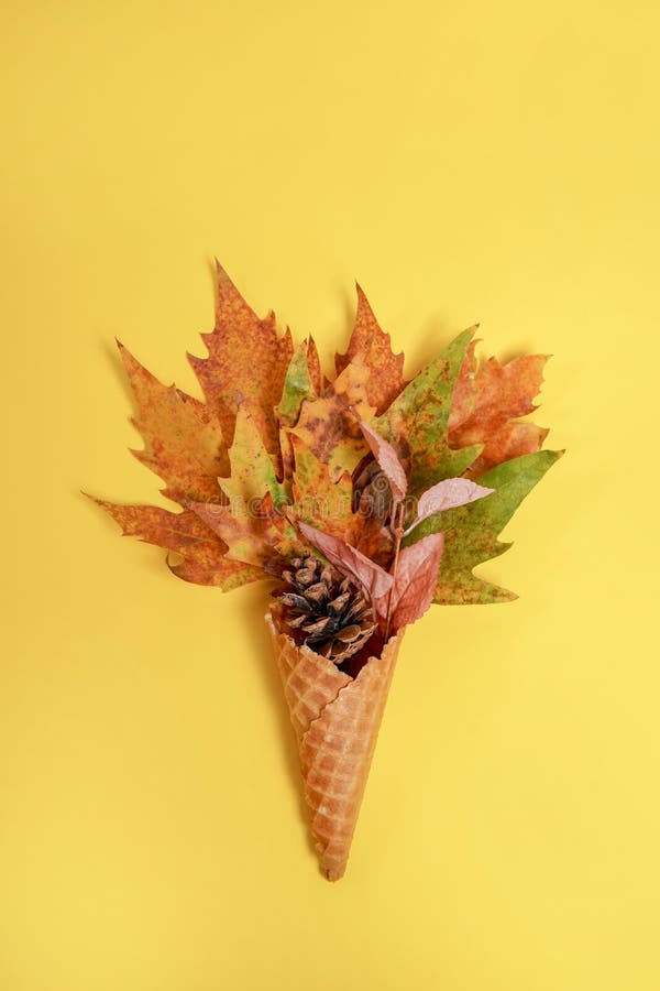 Ice Cream Cone Filled with Autumn Maple Leaves on Yellow Background ...