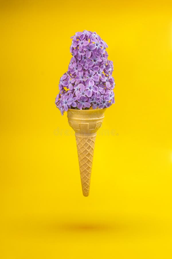 Ice Cream Cone Filled with Spring Flowers Stock Image - Image of beauty ...