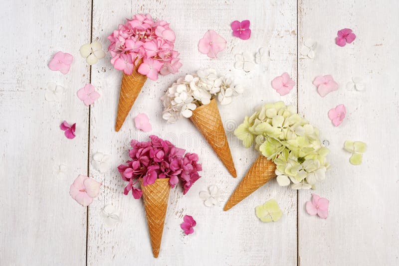 Ice Cream Cones with Beautiful Flowers Stock Photo - Image of beautiful ...