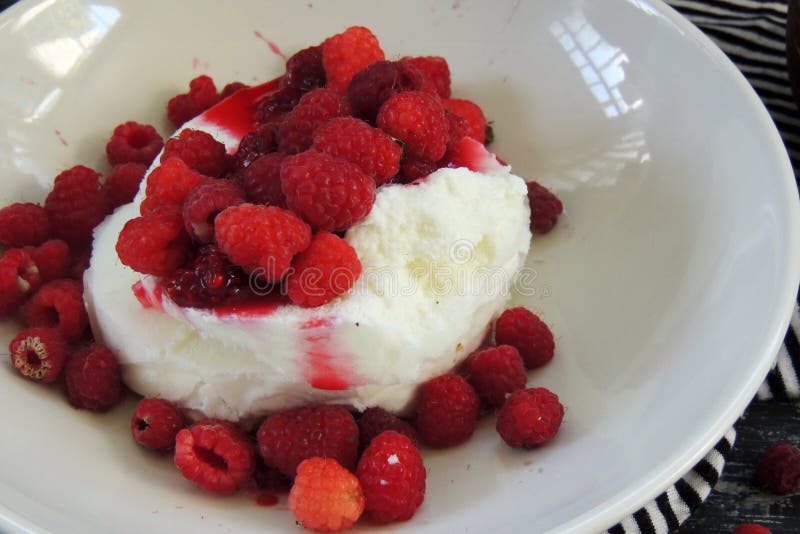 Ice Cream with Raspberry Jam Stock Image - Image of mint, fruit: 201915761