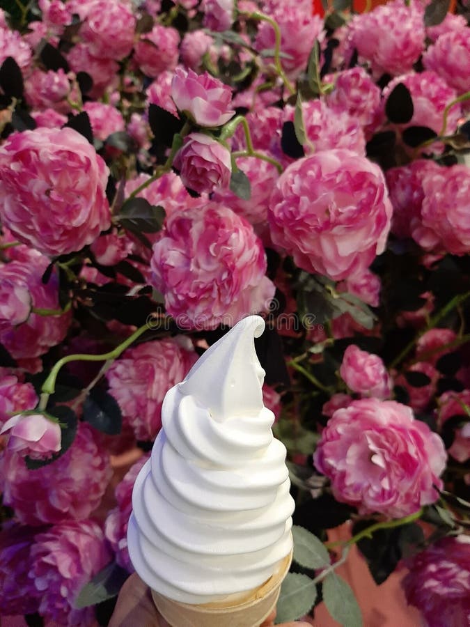 Ice Cream Soft Serve with Pink Flowers Stock Photo - Image of purple ...