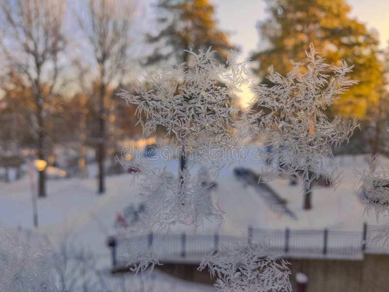 Ice Crystal on Window Glass Shield with Nice Sunny Background on Pine ...