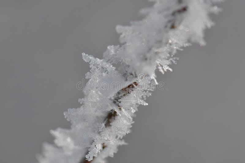 Ice Crystals stock image. Image of view, frozen, object - 12992931