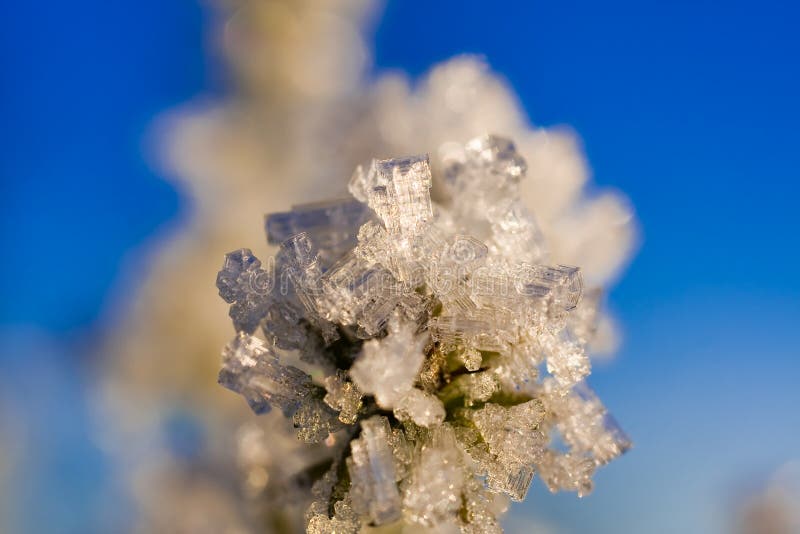 Ice crystals stock photo. Image of outdoors, cold, frozen - 7590426