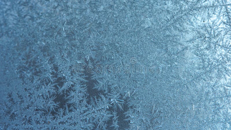 Ice crystals stock image. Image of abstract, cold, flowers - 81913209